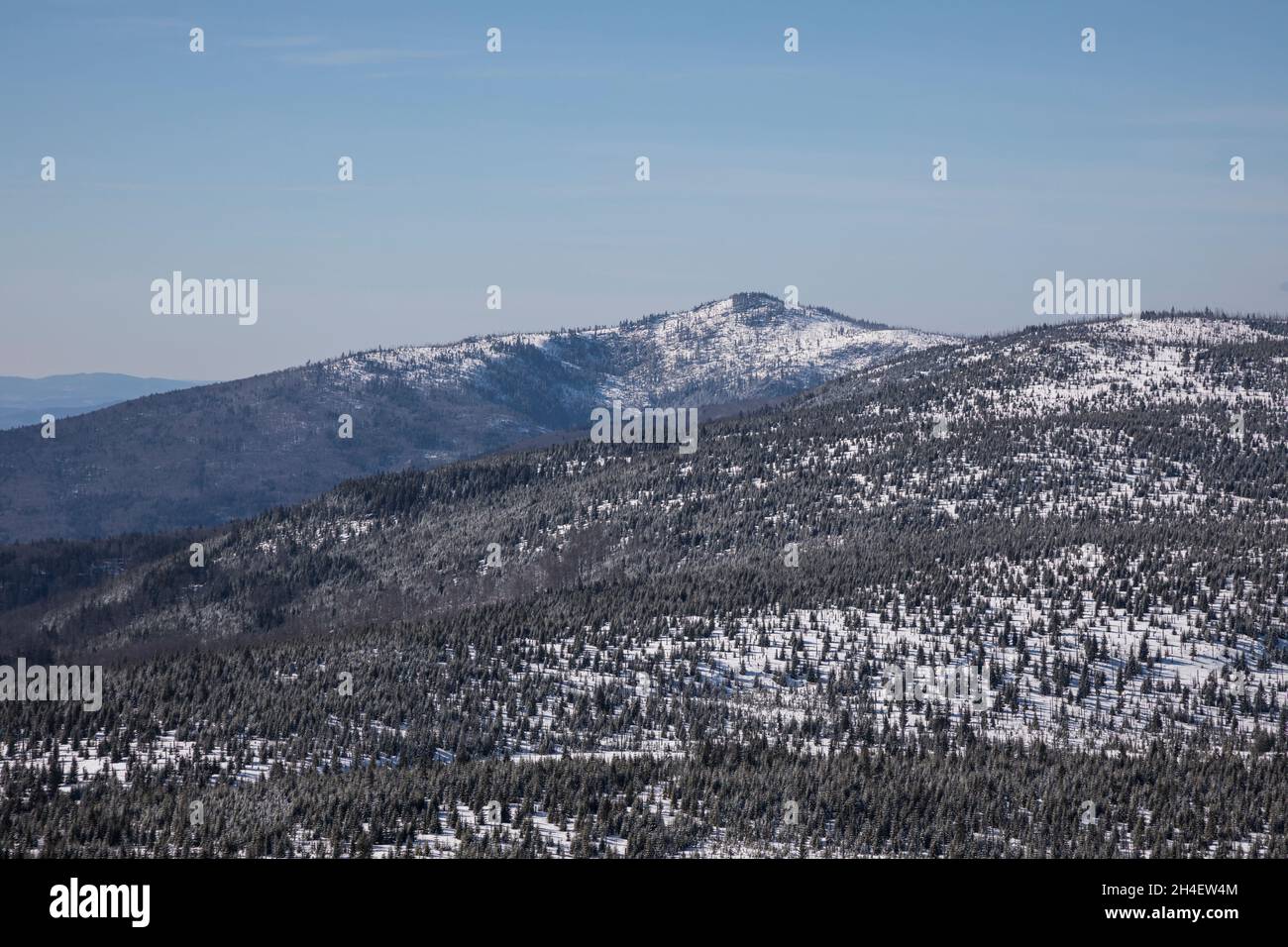 Wald am lusen -Fotos und -Bildmaterial in hoher Auflösung – Alamy
