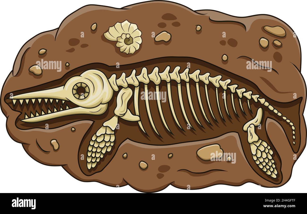Illustration des Cartoon-Dinosaurier-Fossils Ichthyosaurus Stock ...