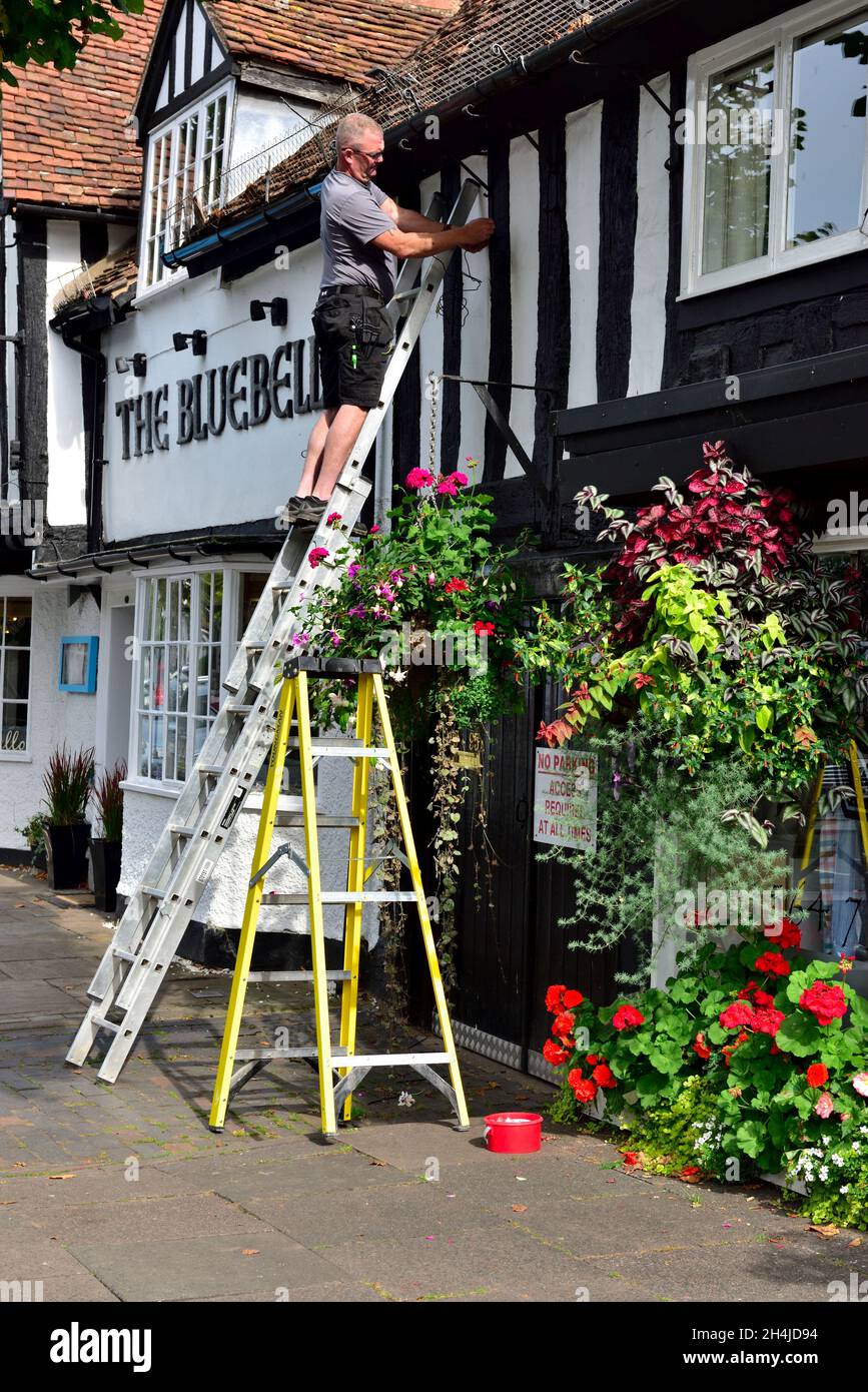 Leiter ladder -Fotos und -Bildmaterial in hoher Auflösung – Alamy
