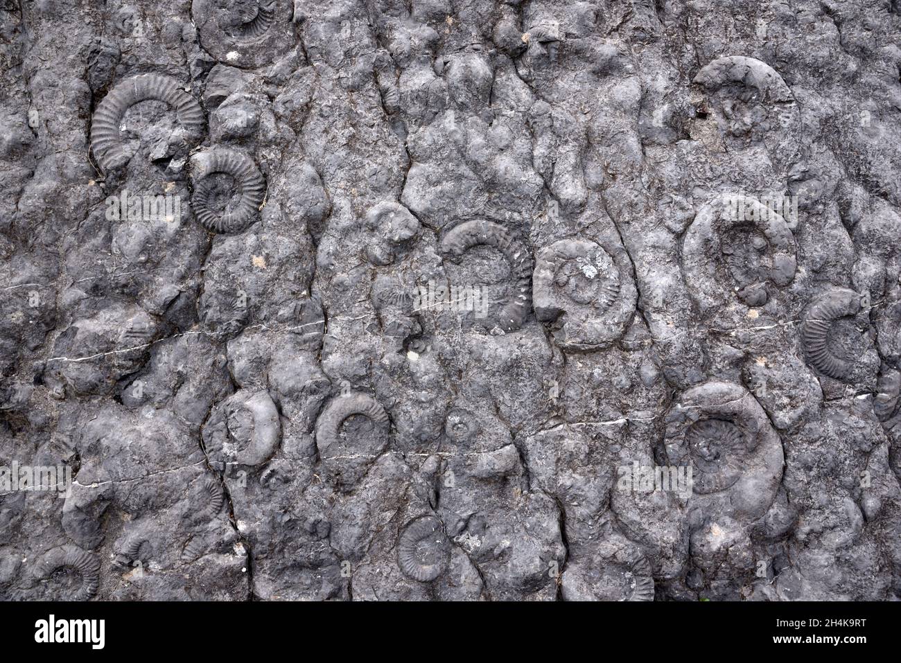 Geopark haute provence -Fotos und -Bildmaterial in hoher Auflösung – Alamy