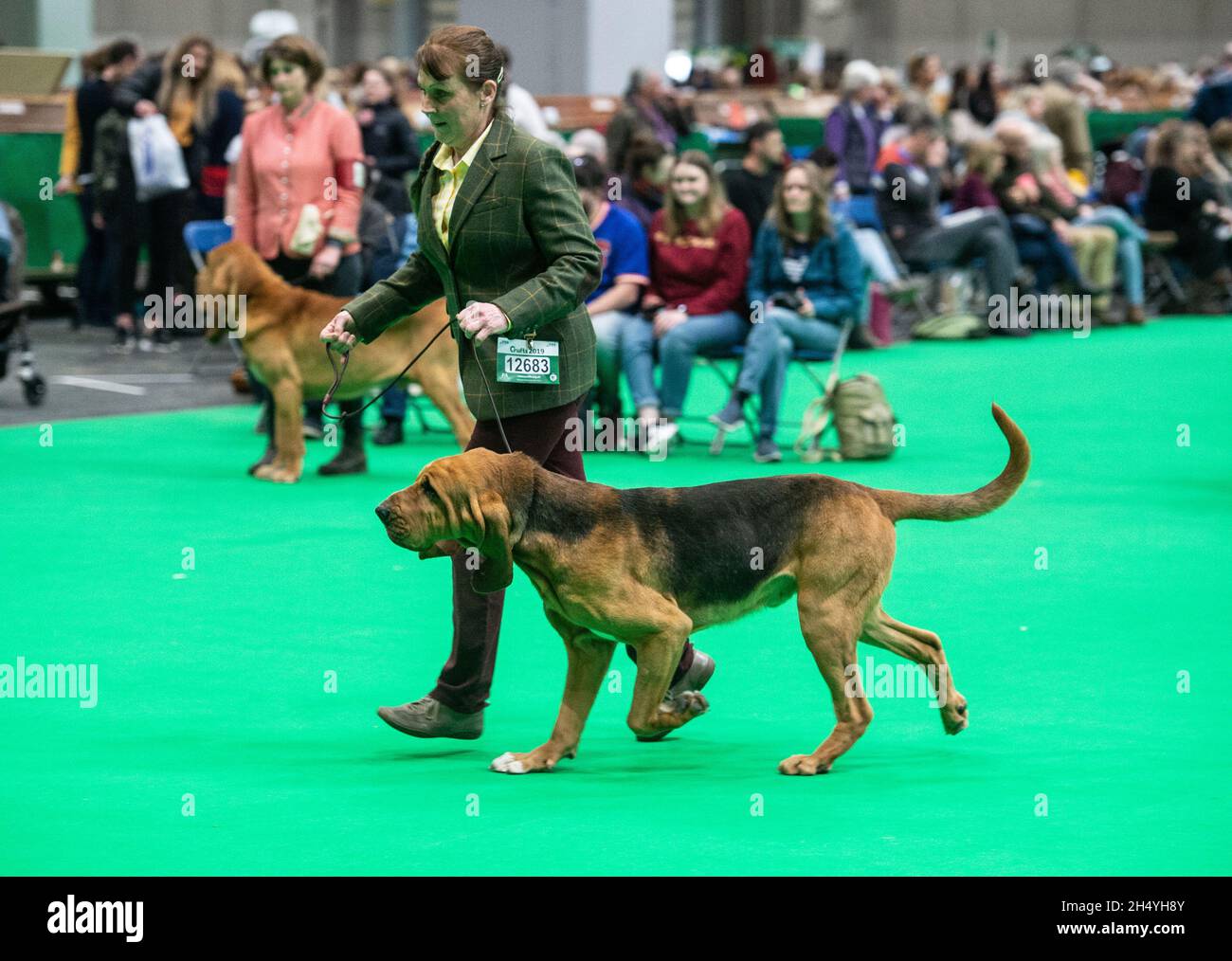 Am 3. Tag der Crufts Dog Show im National Exhibition Centre (NEC) am 09 ...