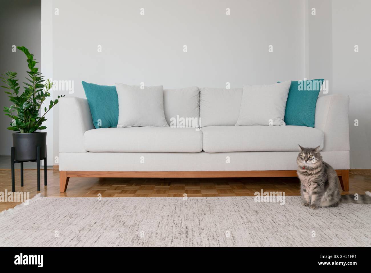 Penthouse pet -Fotos und -Bildmaterial in hoher Auflösung – Alamy