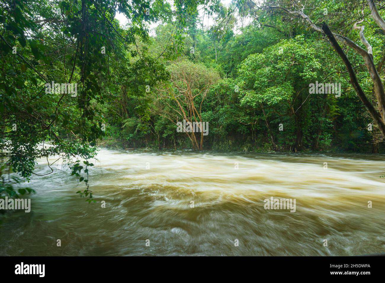 Fluss im tropischen regenwald -Fotos und -Bildmaterial in hoher ...