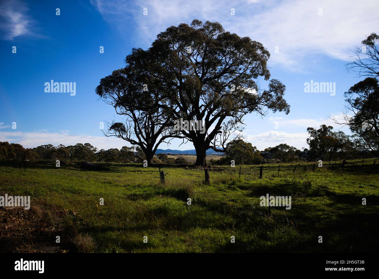 Nsw landschaften -Fotos und -Bildmaterial in hoher Auflösung – Alamy