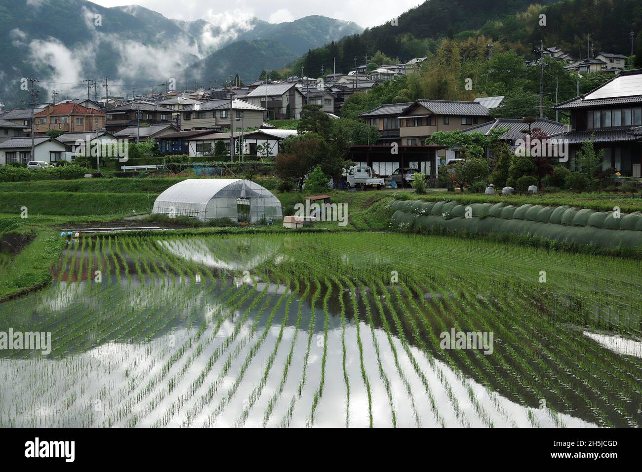 iida, nagano, japan 2021-30-10 , Blick auf Reisfelder in der Stadt Iida ...