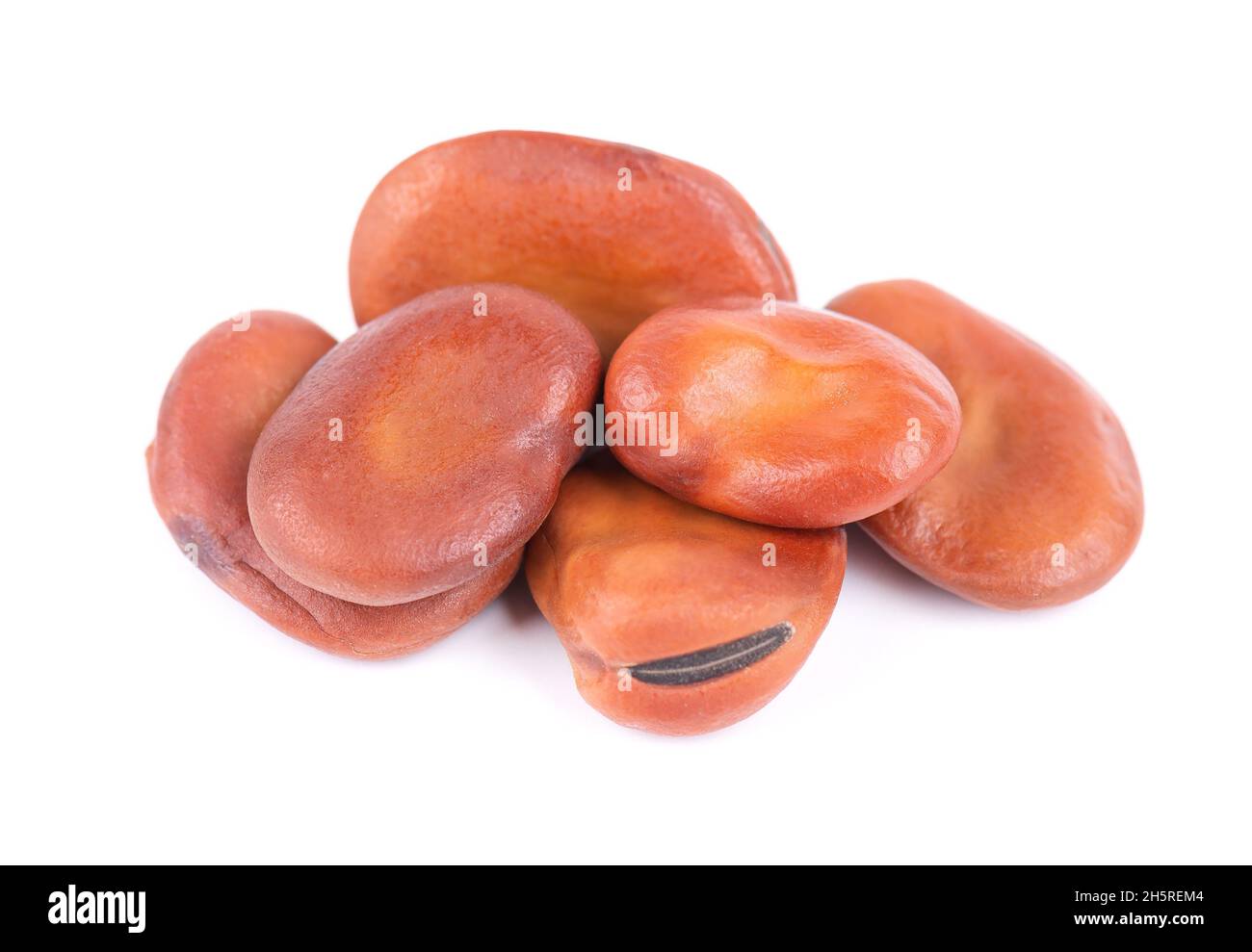 Rohe saubohne -Fotos und -Bildmaterial in hoher Auflösung – Alamy