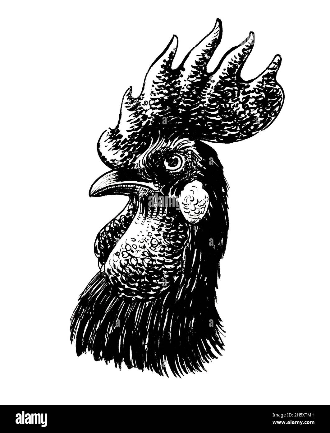 Hühnerkopf skizze -Fotos und -Bildmaterial in hoher Auflösung – Alamy