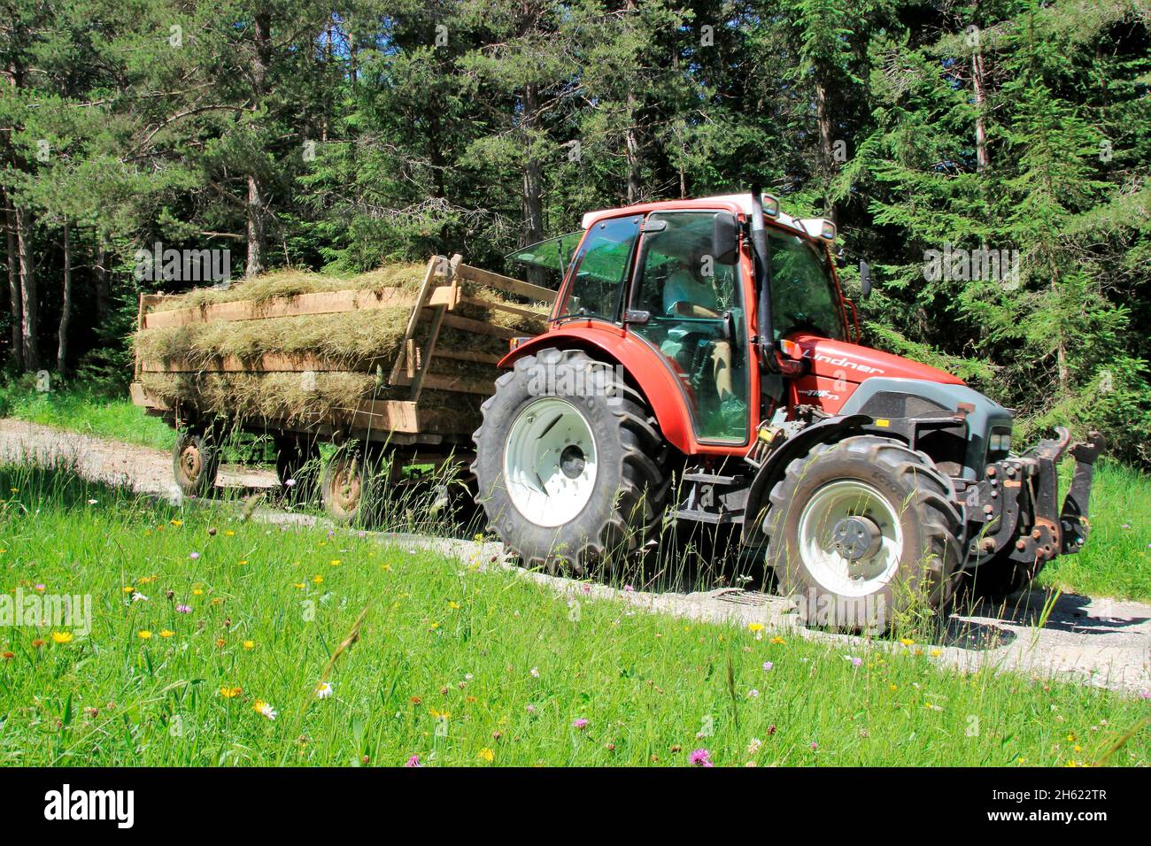 Alter Mann auf lindner geotrac 73,3300 cm–³, 3 Zylinder, bj. 2009 ...
