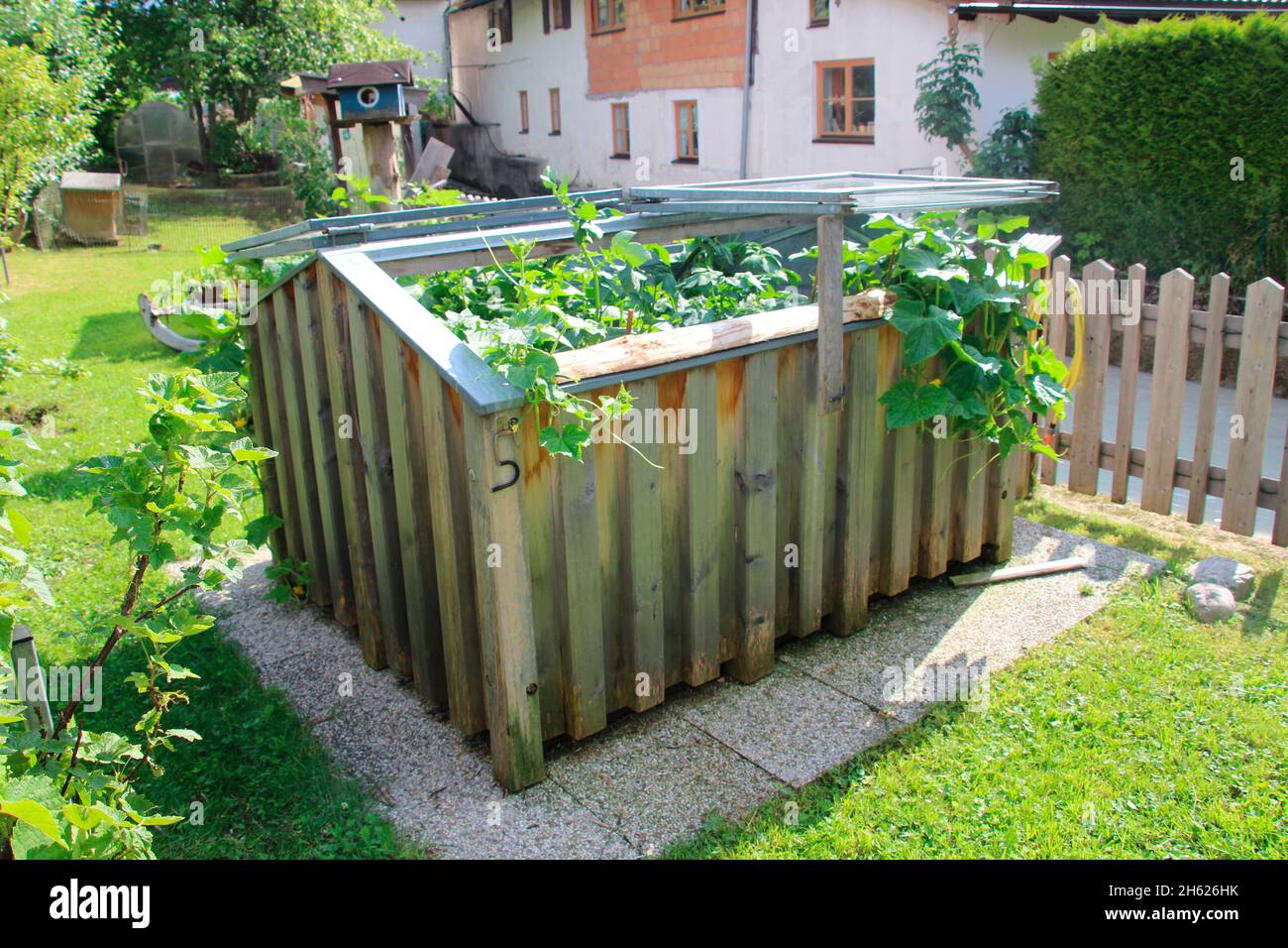 Hochbeet mit gurken und kartoffelpflanzen in einem garten -Fotos und ...