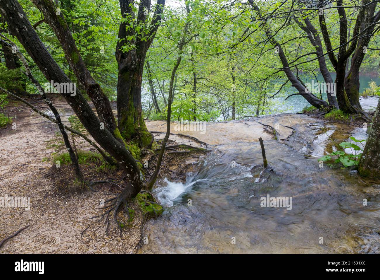 Schatz im silbersee -Fotos und -Bildmaterial in hoher Auflösung – Alamy