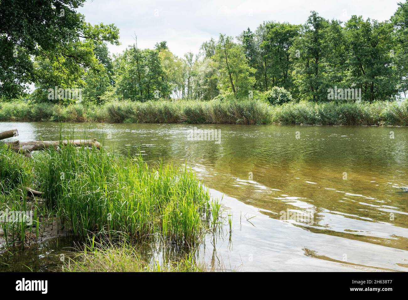 Naturpark peenetal -Fotos und -Bildmaterial in hoher Auflösung – Alamy