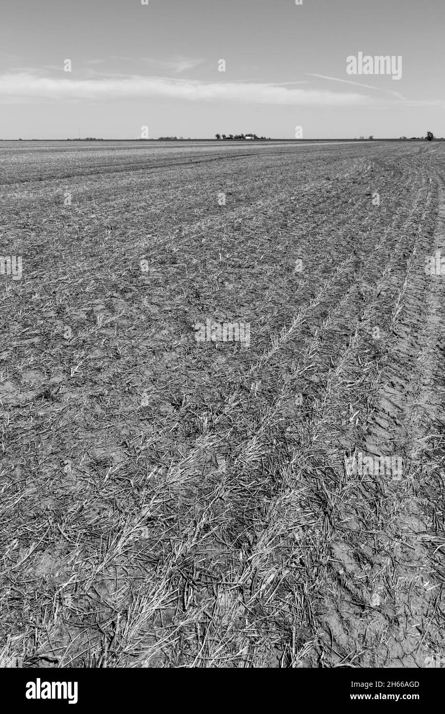 Schwarzes erdfeld -Fotos und -Bildmaterial in hoher Auflösung – Alamy