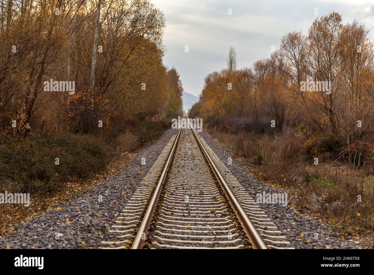 Der Eber-See, einer der letzten Seen tektonischer Herkunft aus der ...