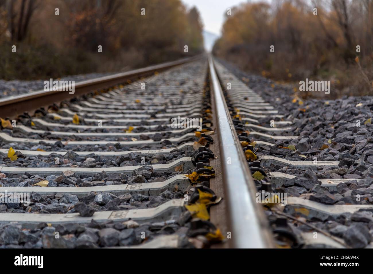 Der Eber-See, einer der letzten Seen tektonischer Herkunft aus der Eiszeit, befindet sich in der ...