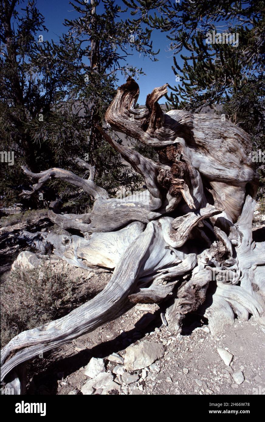 Older than stonehenge -Fotos und -Bildmaterial in hoher Auflösung – Alamy