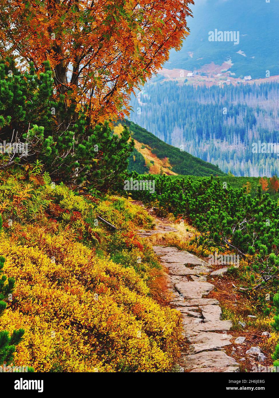 Narrow pathway -Fotos und -Bildmaterial in hoher Auflösung – Alamy