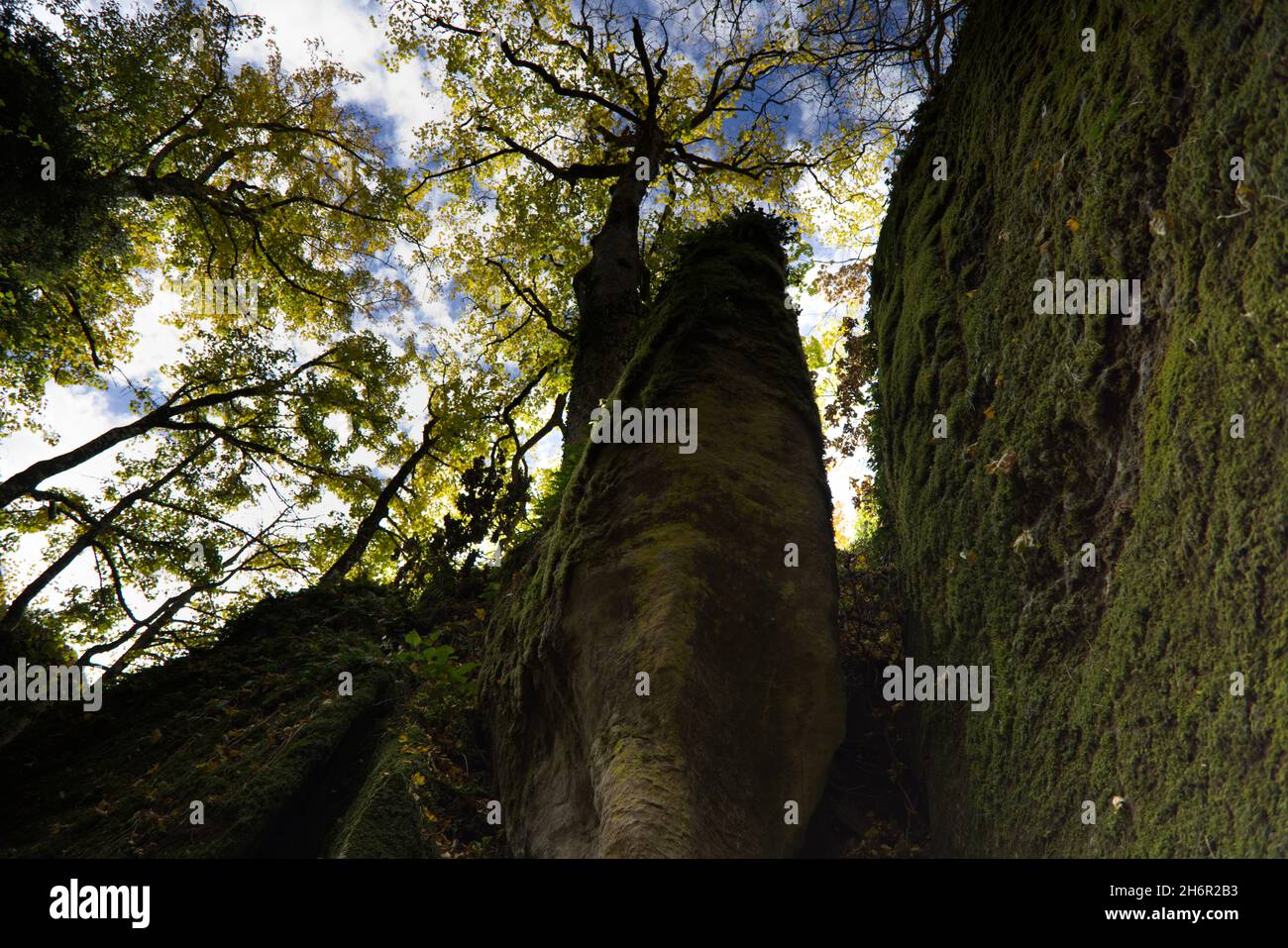 La verna abbey -Fotos und -Bildmaterial in hoher Auflösung – Alamy