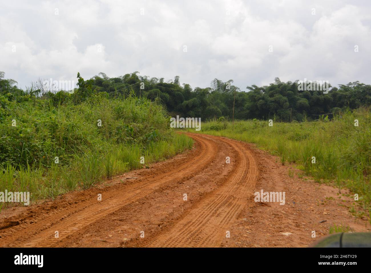 Dschungel reisen -Fotos und -Bildmaterial in hoher Auflösung – Alamy