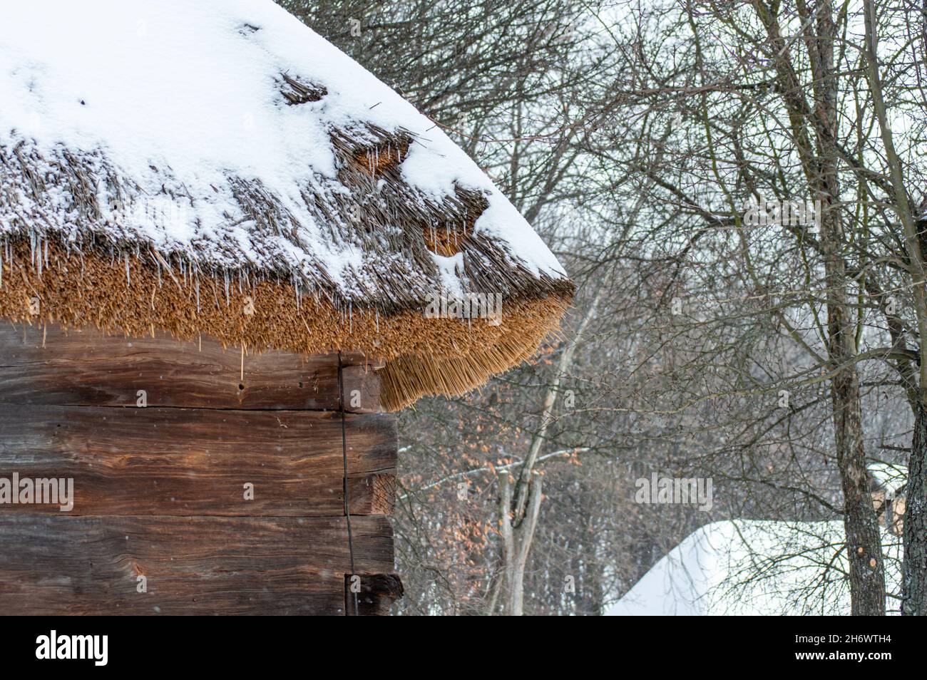 Dach mit stroh bedeckt -Fotos und -Bildmaterial in hoher Auflösung – Alamy