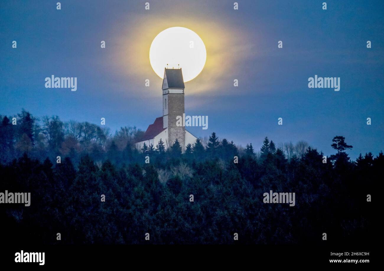 Unlingen, Deutschland. November 2021. Der Vollmond steigt am Abend über ...