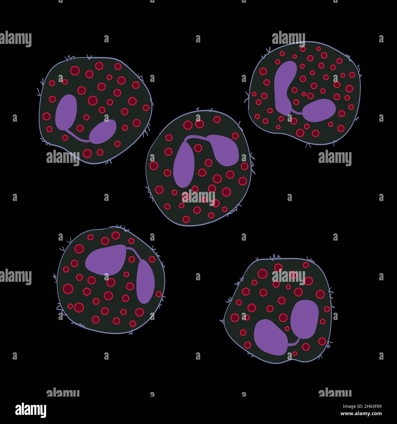 Immune system illustration -Fotos und -Bildmaterial in hoher Auflösung – Alamy
