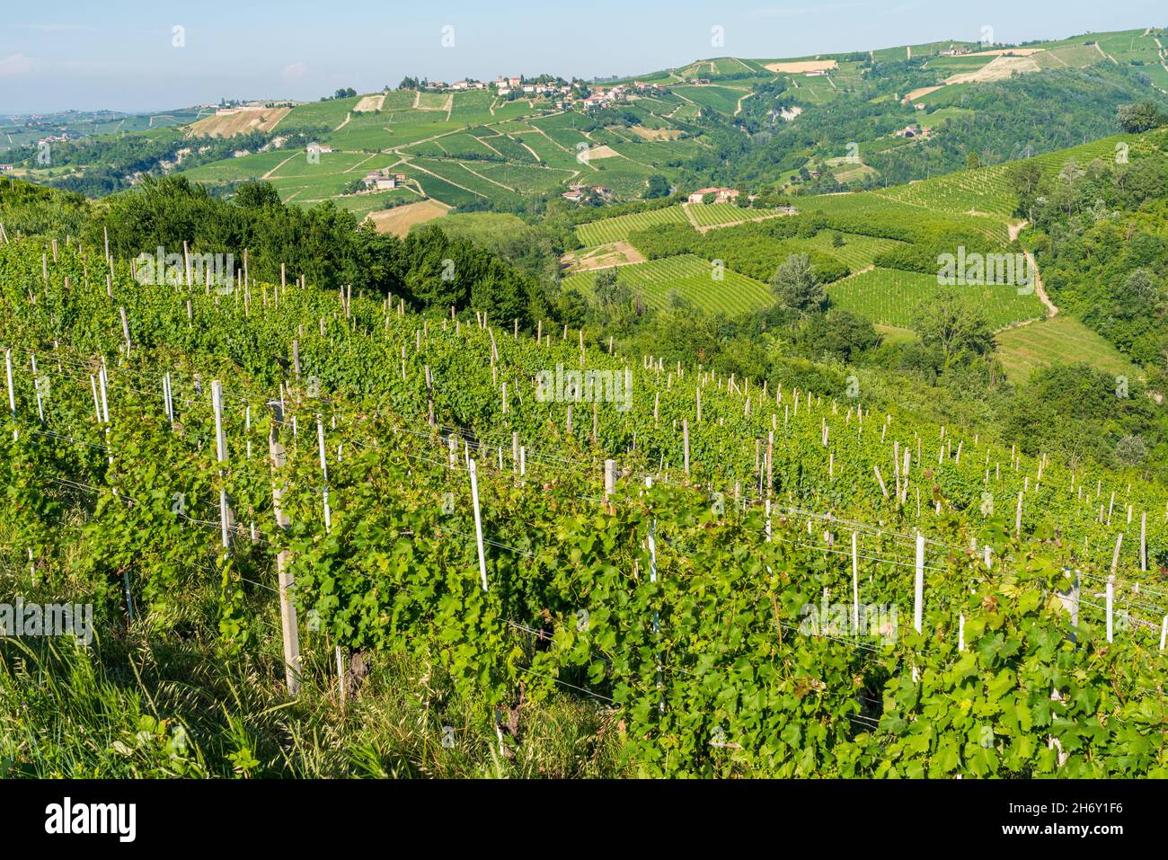 Schöne Hügel und Weinberge rund um Treiso, in der Langhe Region. Cuneo ...