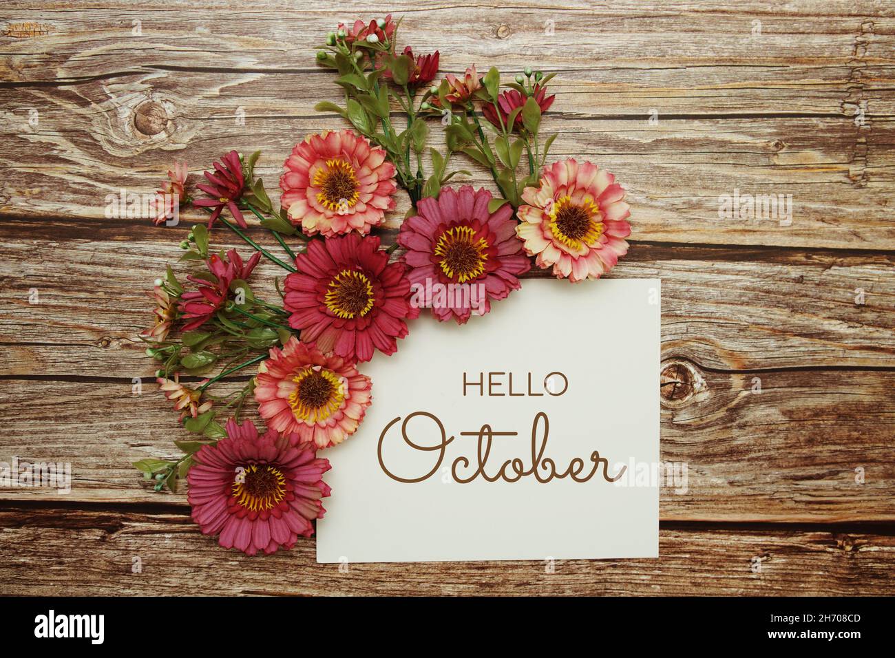 Hallo oktober -Fotos und -Bildmaterial in hoher Auflösung – Alamy