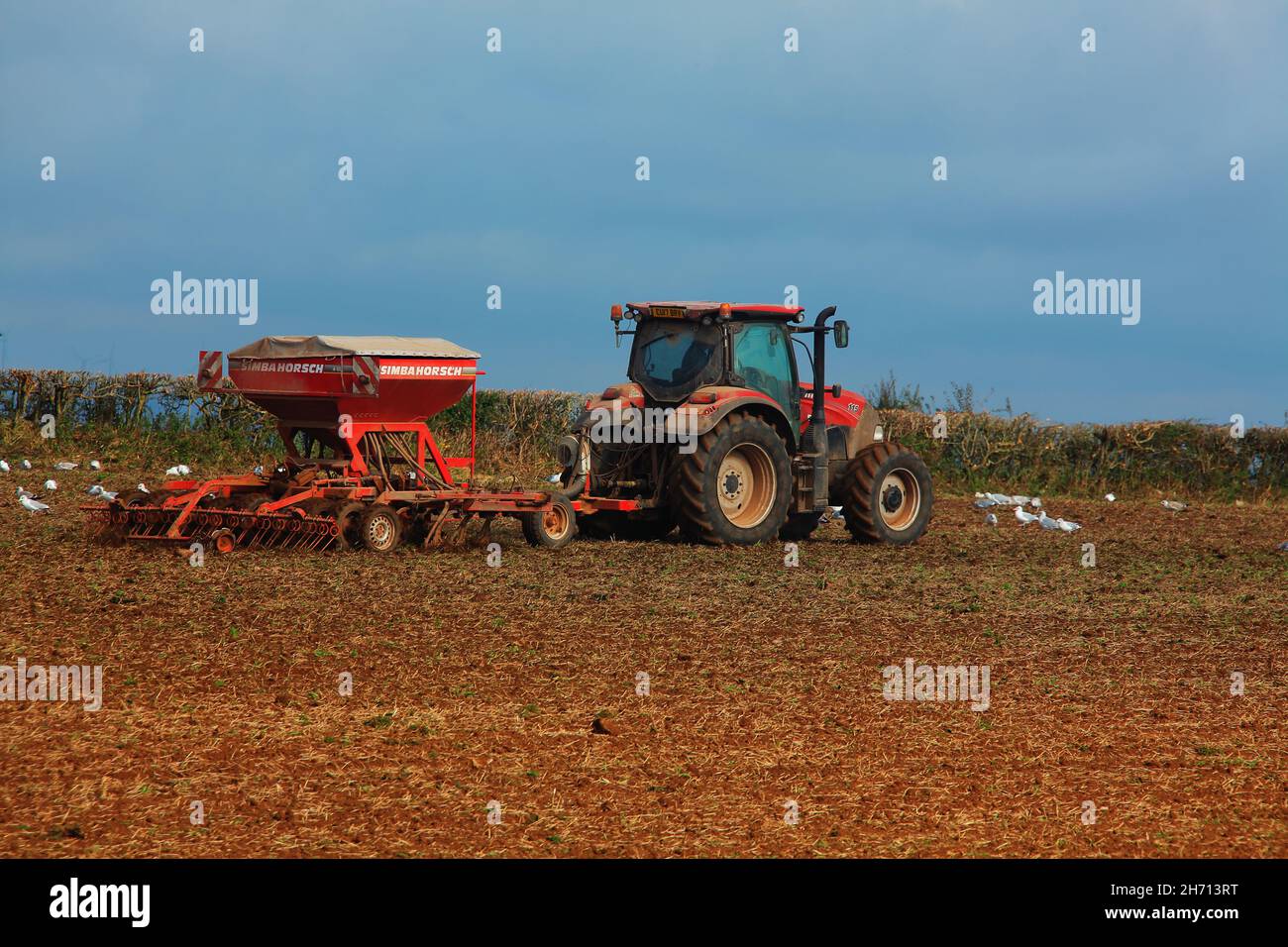 Automatische aussaat von samen -Fotos und -Bildmaterial in hoher ...