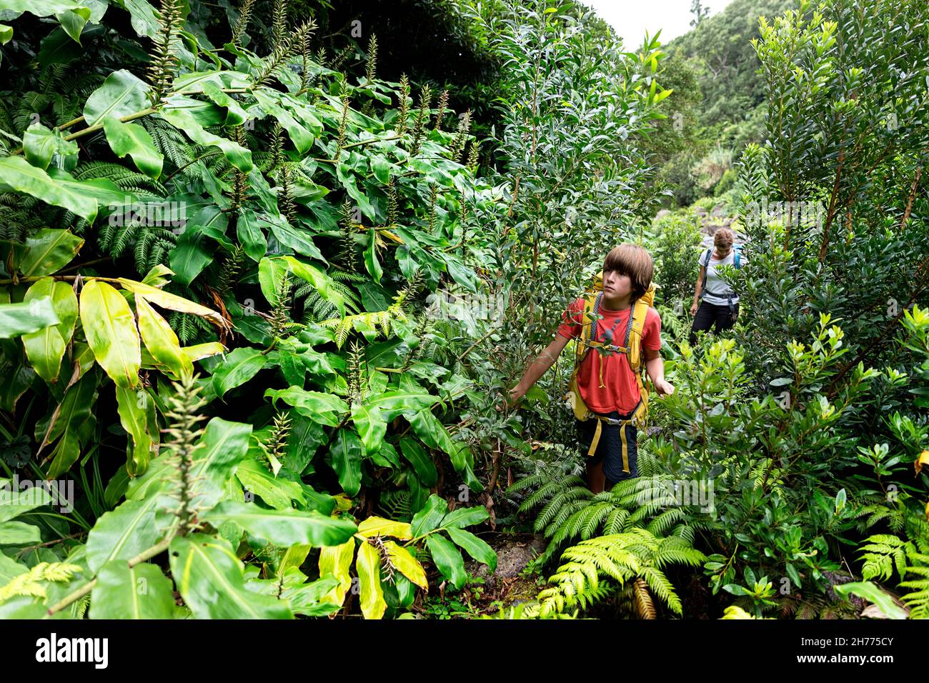 Mutter und Sohn wandern in dichter tropischer Vegetation auf dem Weg ...