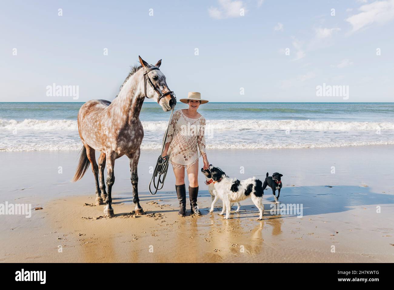 Pferd und hunde -Fotos und -Bildmaterial in hoher Auflösung – Alamy