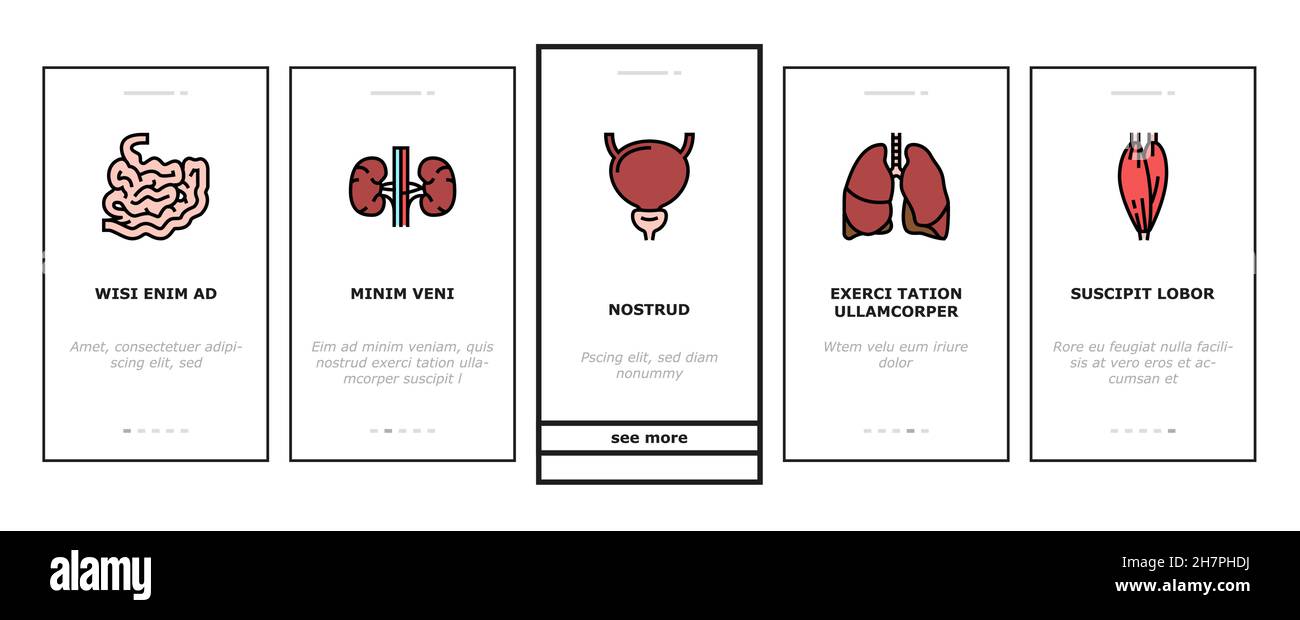 Menschliche Innere Organanatomie Symbole Für Das Einsteigen Set Vector ... Menschliche Innere Organanatomie Symbole Für Das Einsteigen Set Vector ...