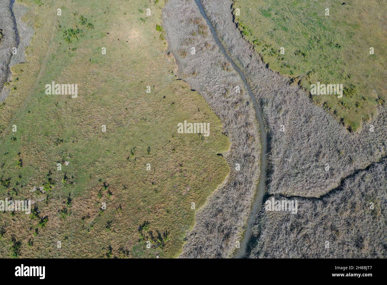 Dhal char -Fotos und -Bildmaterial in hoher Auflösung – Alamy