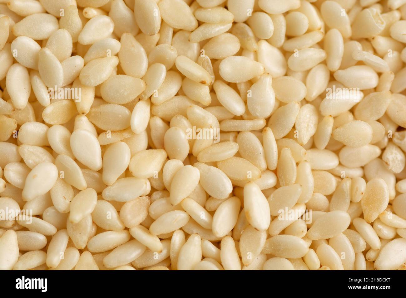 Sammlung sesam -Fotos und -Bildmaterial in hoher Auflösung – Alamy