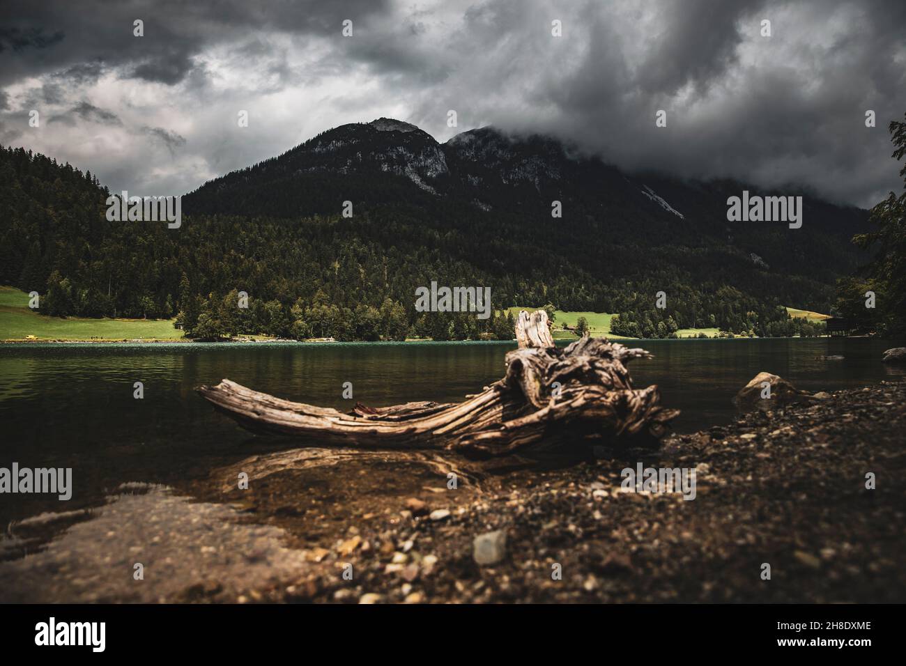 Hintersteiner sehen -Fotos und -Bildmaterial in hoher Auflösung – Alamy