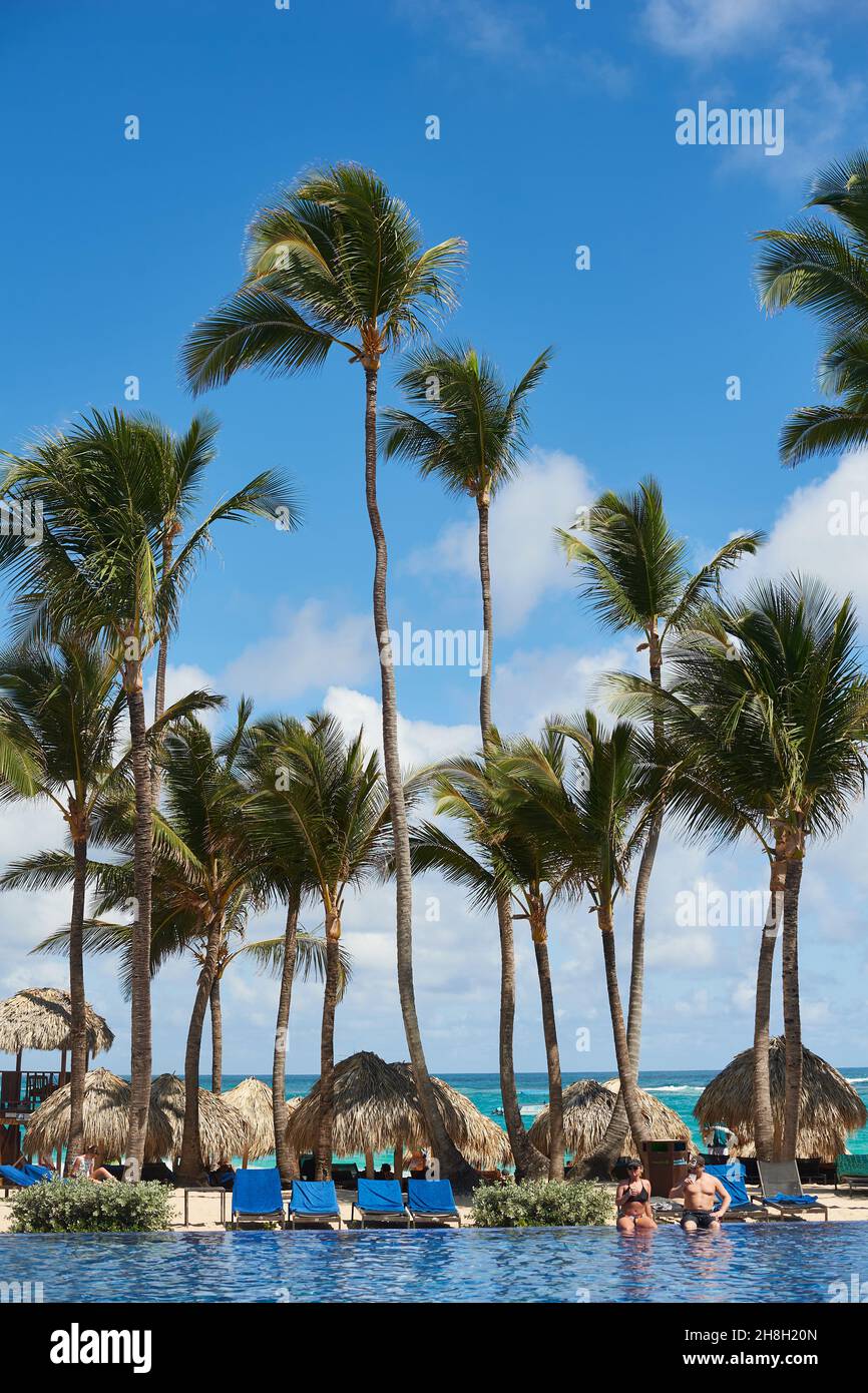 Urlaub palmen -Fotos und -Bildmaterial in hoher Auflösung – Alamy