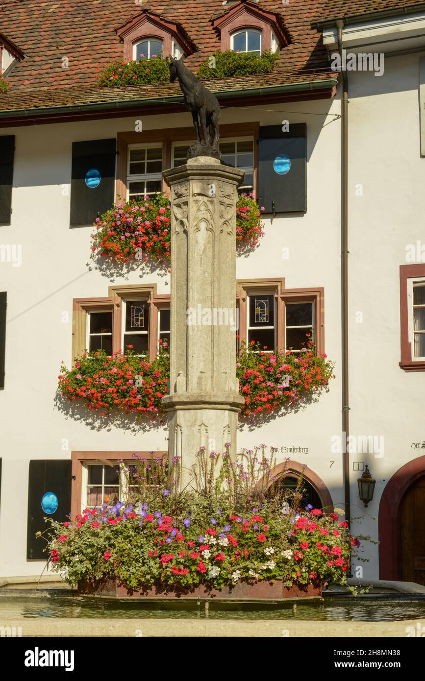 Brunnen in der Altstadt von Basel in der Schweiz Stockfotografie - Alamy