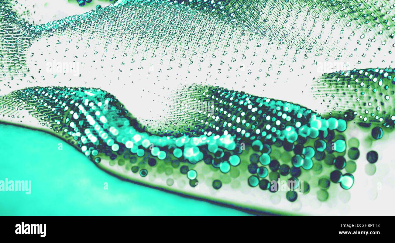 Dynamische farbe -Fotos und -Bildmaterial in hoher Auflösung – Alamy