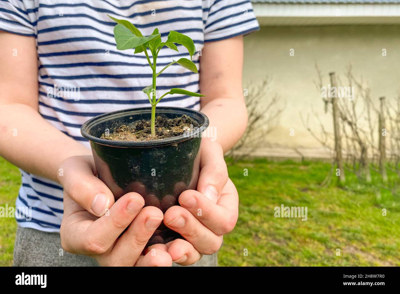 Montessori system -Fotos und -Bildmaterial in hoher Auflösung – Alamy