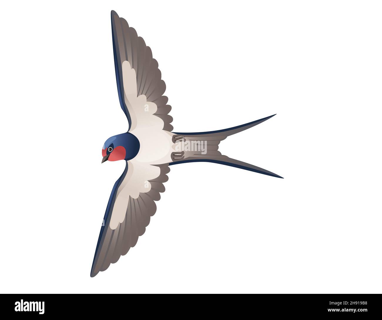 Cartoon vogel -Fotos und -Bildmaterial in hoher Auflösung – Alamy