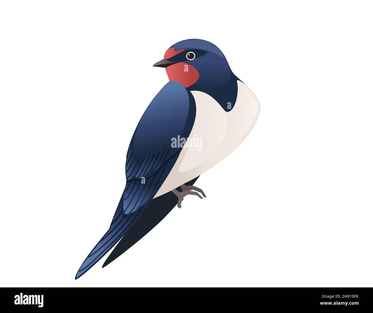 Cartoon bird -Fotos und -Bildmaterial in hoher Auflösung – Alamy