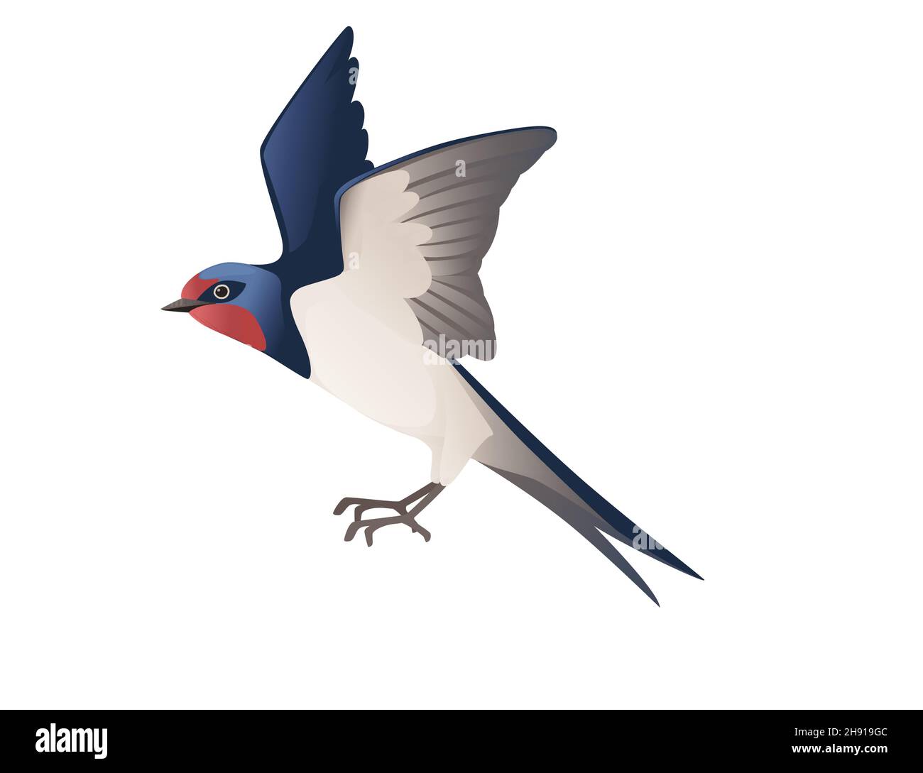 Fliegender vogel cartoon -Fotos und -Bildmaterial in hoher Auflösung ...