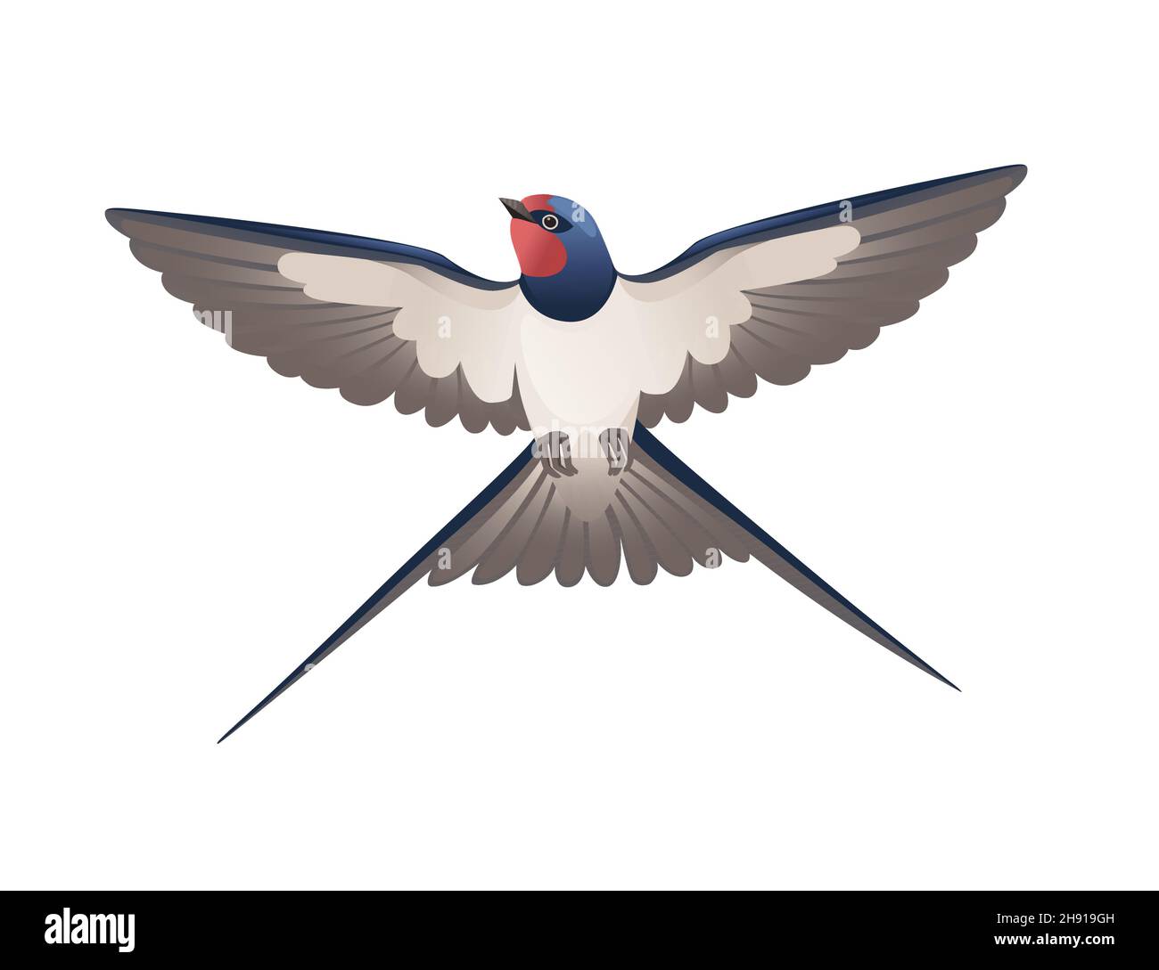 Fliegender vogel cartoon -Fotos und -Bildmaterial in hoher Auflösung ...