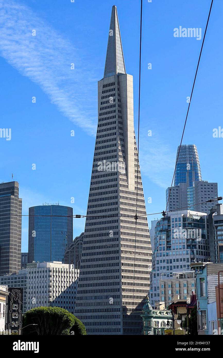 Population pyramid -Fotos und -Bildmaterial in hoher Auflösung – Alamy