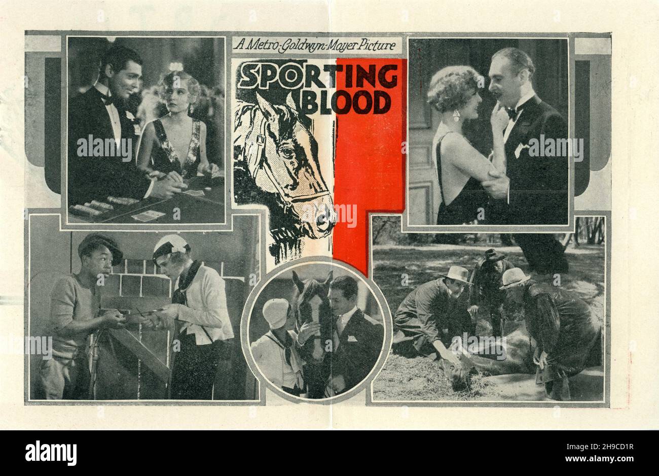 Cody tree -Fotos und -Bildmaterial in hoher Auflösung – Alamy