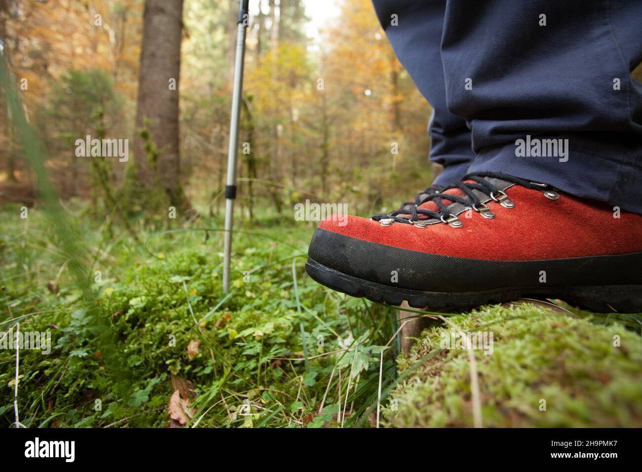 Wandern im Wald aus dem Weg mit roten Bergschuhen Stockfotografie - Alamy