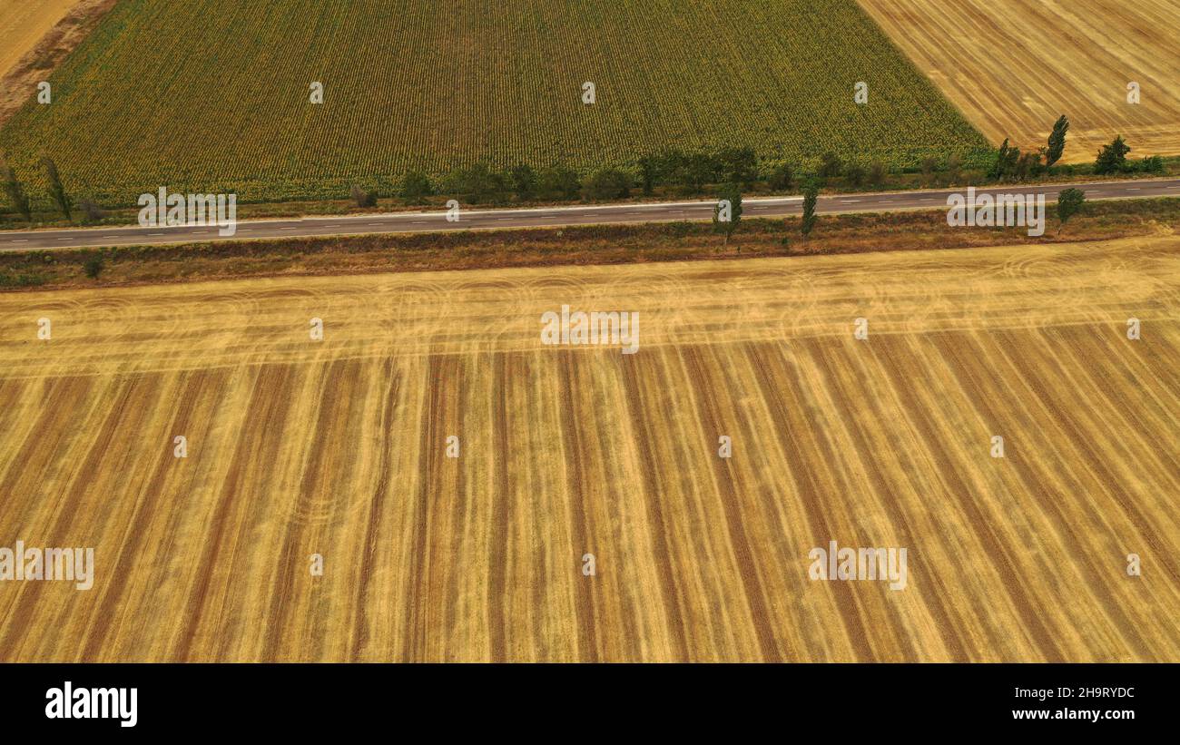 Weizenfeld. Luftaufnahme auf einem Feld mit abgeschrägten Getreidearten ...