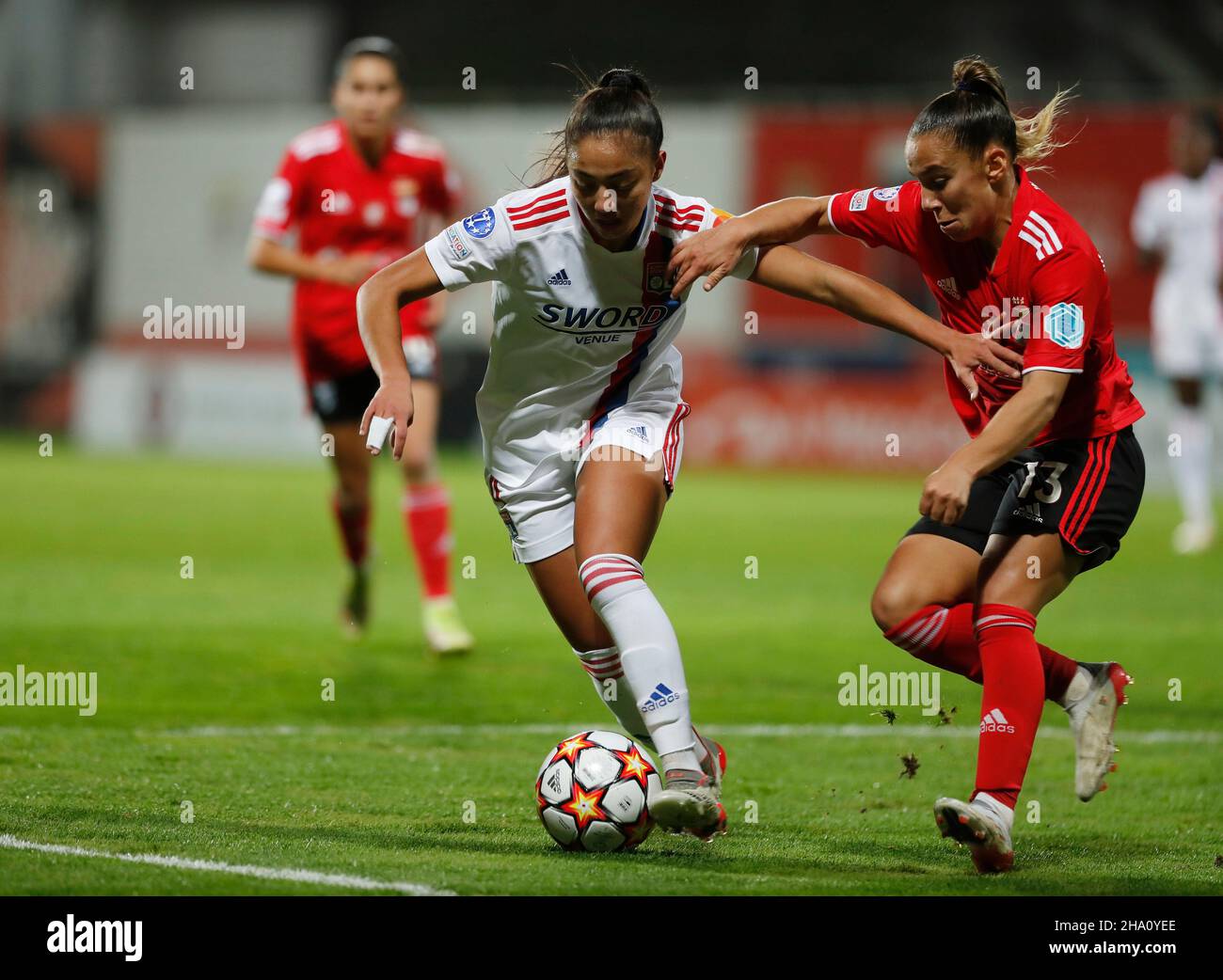 Lucia alves -Fotos und -Bildmaterial in hoher Auflösung – Alamy