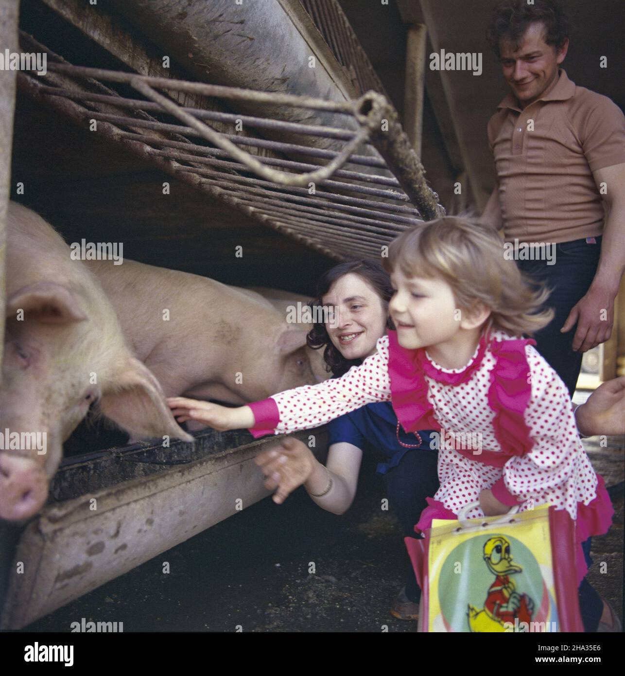 Jan borkowski -Fotos und -Bildmaterial in hoher Auflösung – Alamy