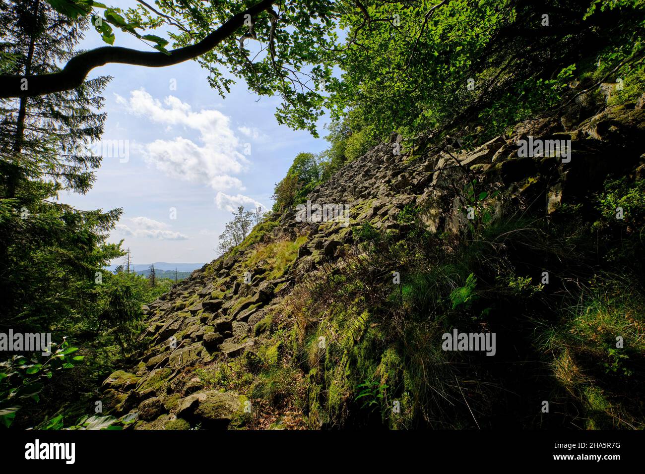 Landschaft und Schutt auf dem Milseburg, rhoen Biosphärenreservat ...