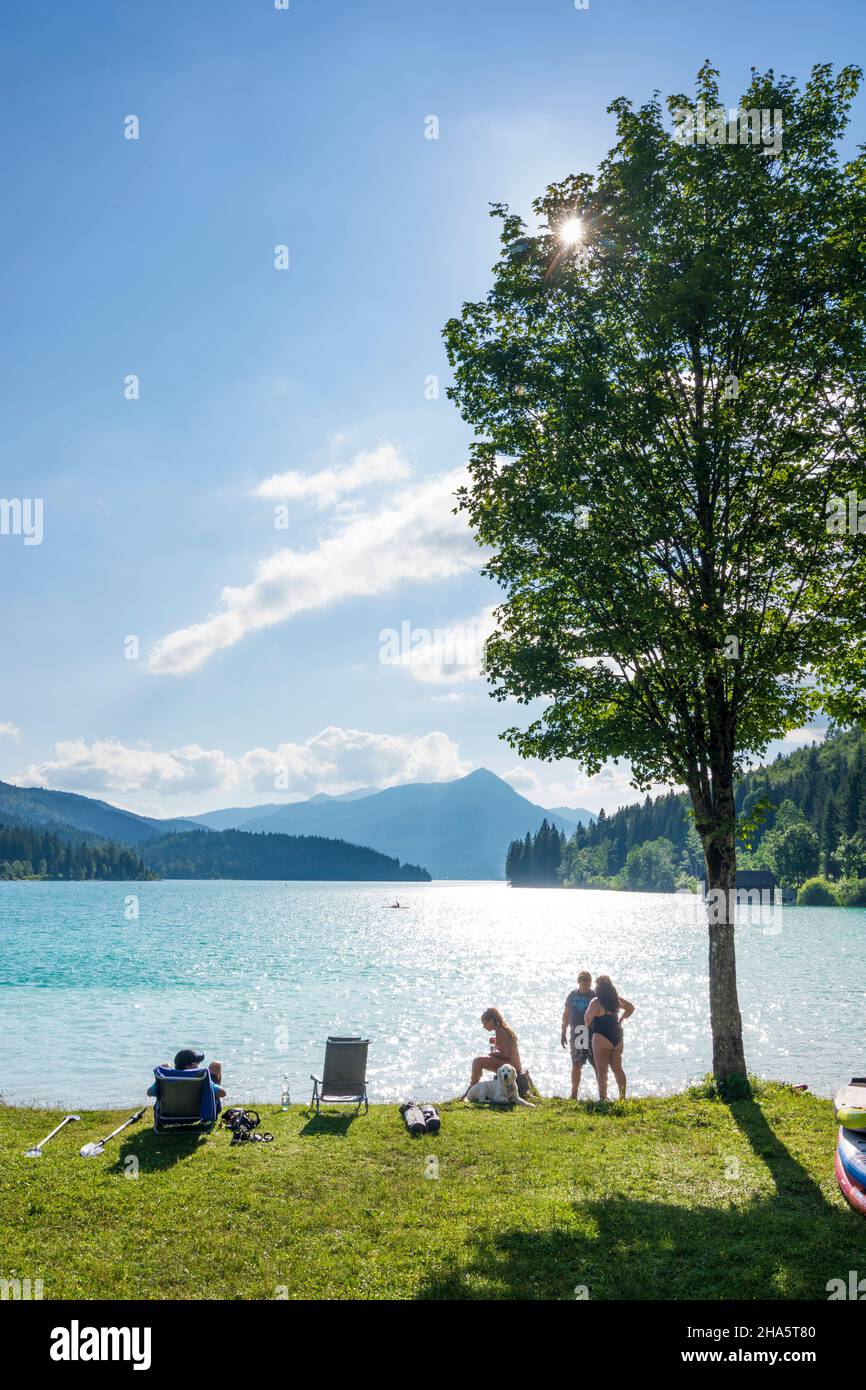 Liegewiese am walchensee im sommer -Fotos und -Bildmaterial in hoher ...
